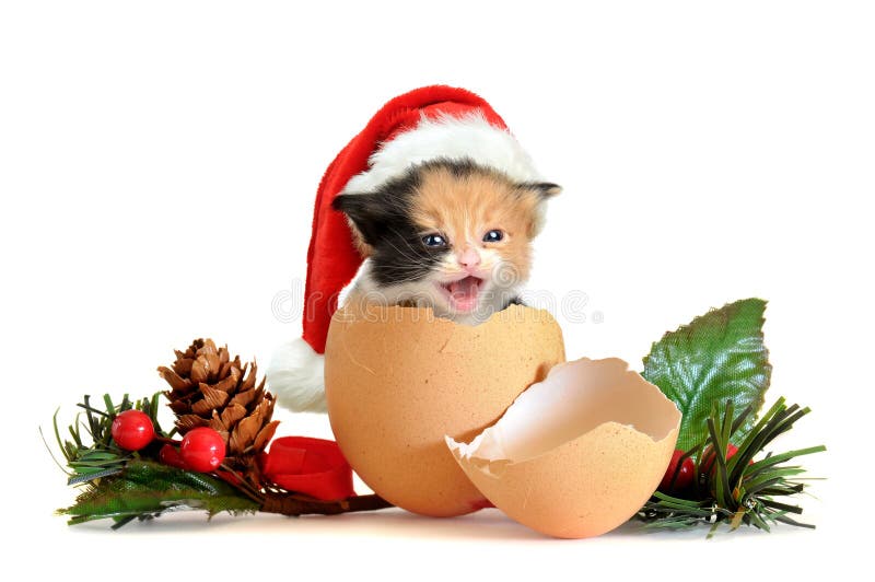 Christmas stock photo. Image of small, playing, sweet - 32626812