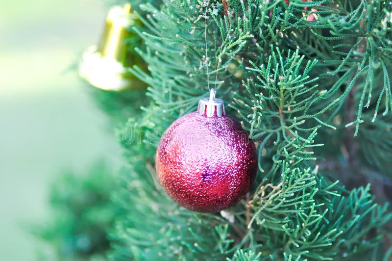Christmas Day or Christmas Decoration , Christmas Ball on Pine Tree ...