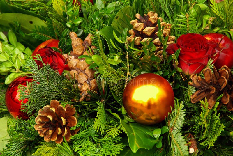 Red rose in the snow stock photo. Image of christmas - 18610244