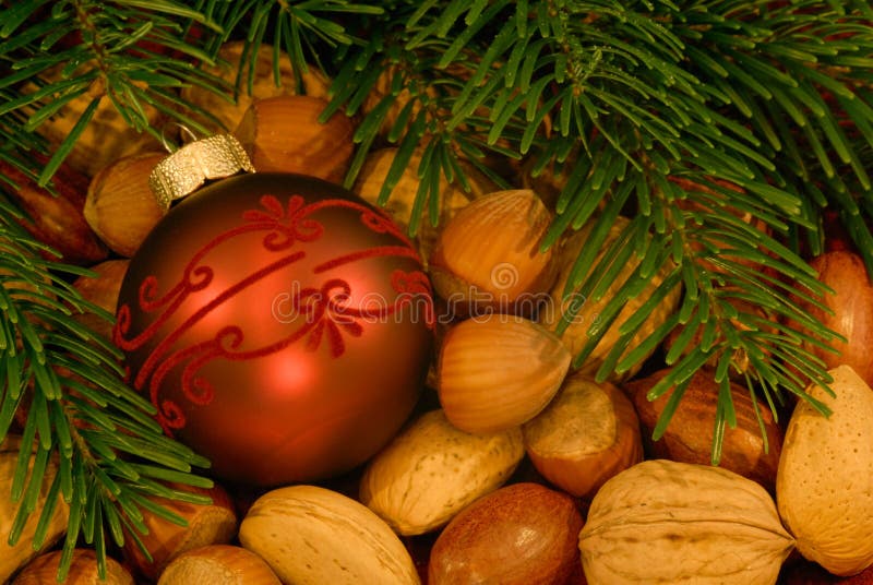 Christmas decoration stock photo. Image of festive, nuts - 26630514