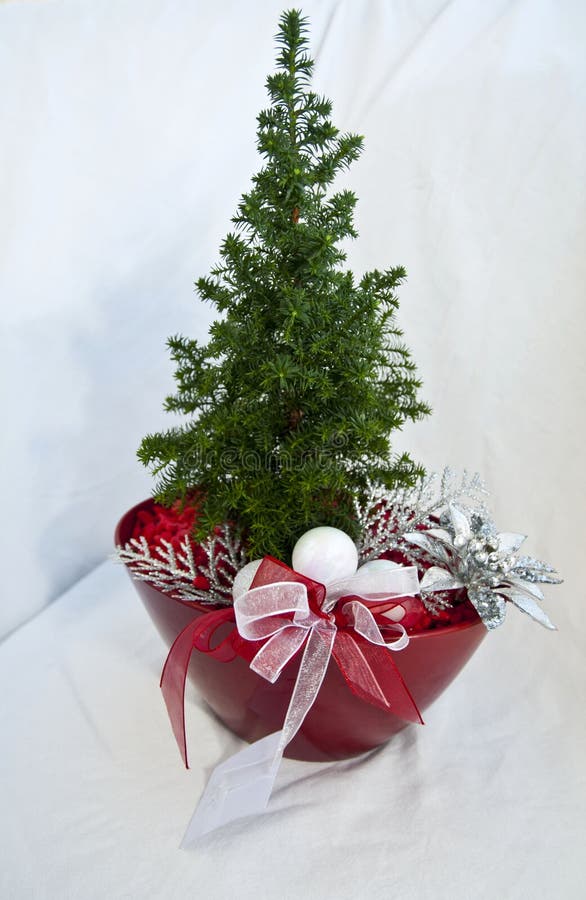 Christmas Decoration Tree in Red Pot Stock Image - Image of decorative ...