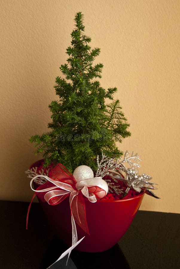 Christmas Decoration Tree in Red Pot Stock Photo - Image of abstract ...