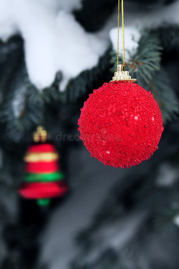 Red Christmas Bulb with Colored Lights on Tree Stock Image - Image of ...