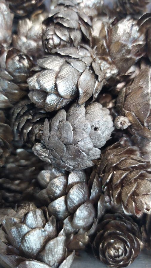 Christmas Decorations Cones of Gold Stock Image - Image of flower ...