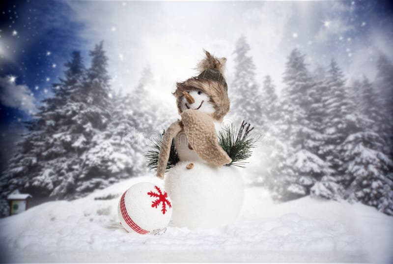 Christmas Decorations and Gift Box in Snow Stock Image - Image of cone ...