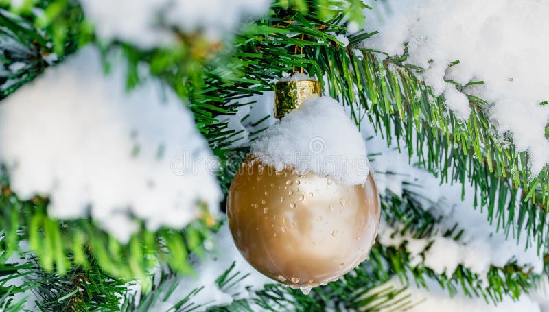 Christmas Decorations Hanging on a Pine Tree with Glitter Stock Image ...