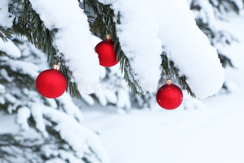 Christmas Decorations on a Natural Christmas Tree in the Forest Stock ...