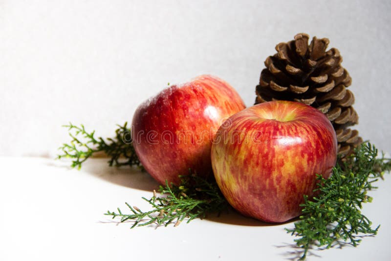 Christmas Decorations with Red Apples Pineapples and Pine Trees White ...