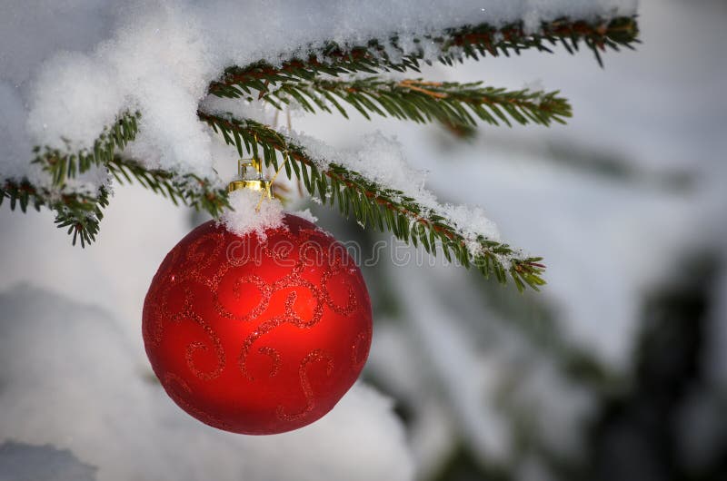 Christmas Decorative Ball on Green Branch Stock Photo - Image of ball ...