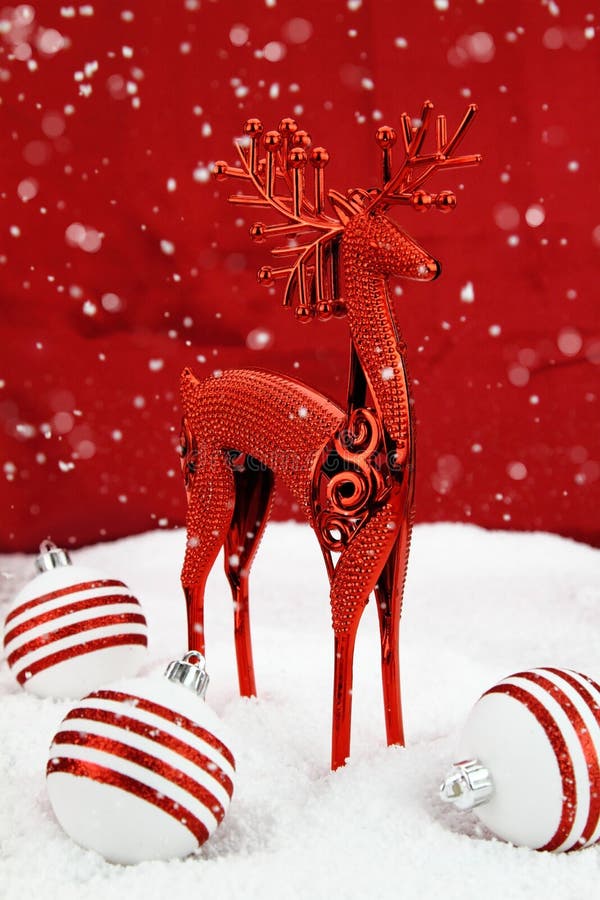 Christmas Deer stock photo. Image of deer, creature, animal - 16217198