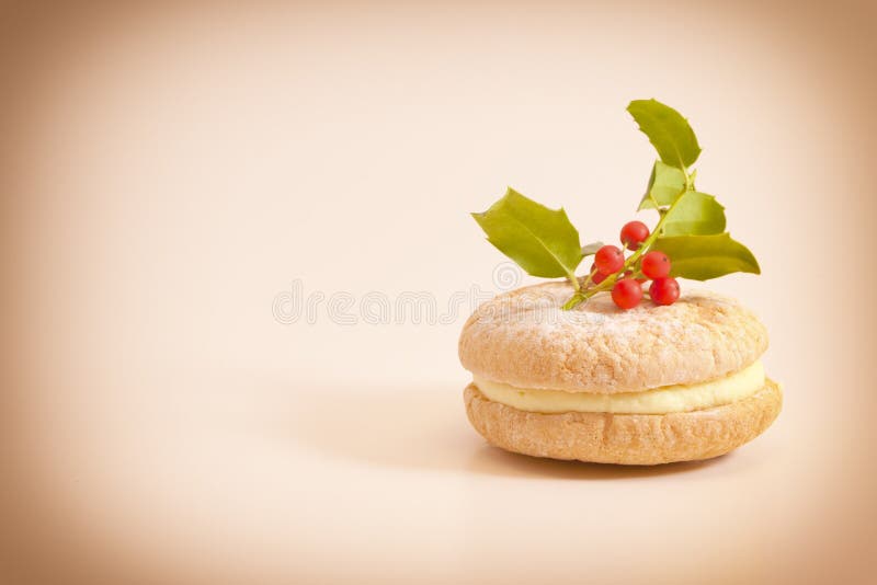 Christmas delight dessert. stock image. Image of peanut - 22044753