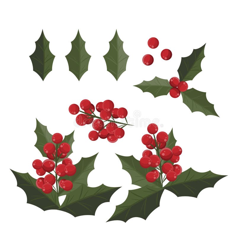 Christmas Elements with Set of Holly Leaves and Berries Stock Vector ...