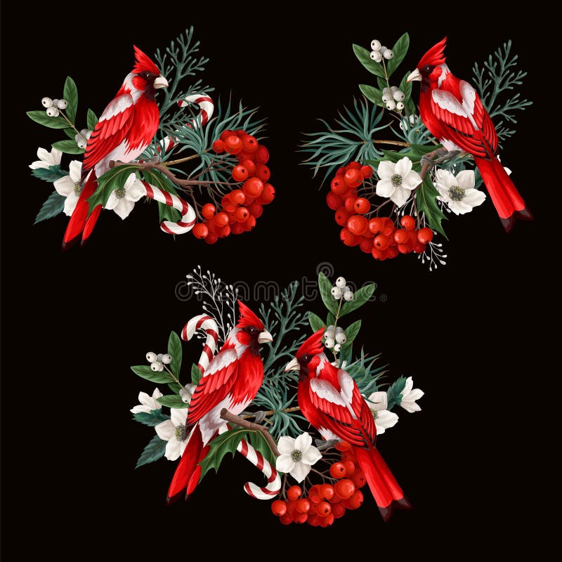 Christmas Elements Such As Fir, Red Birds, Rowan Isolated . Vector ...