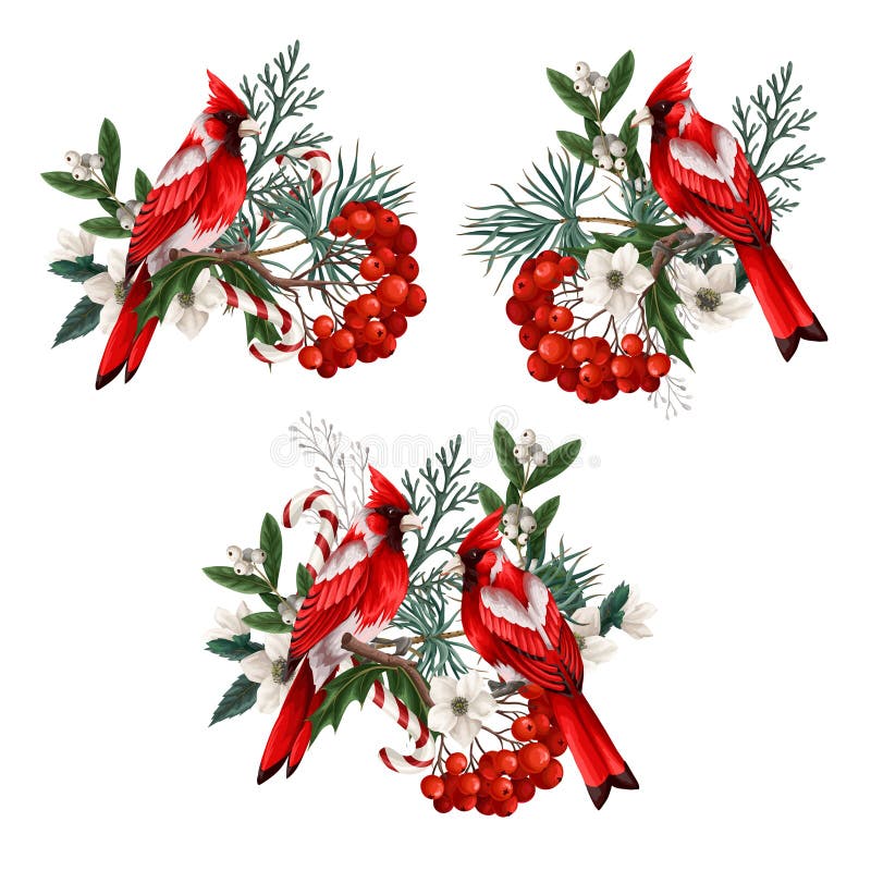 Christmas Elements Such As Fir, Red Birds, Rowan Isolated . Vector ...