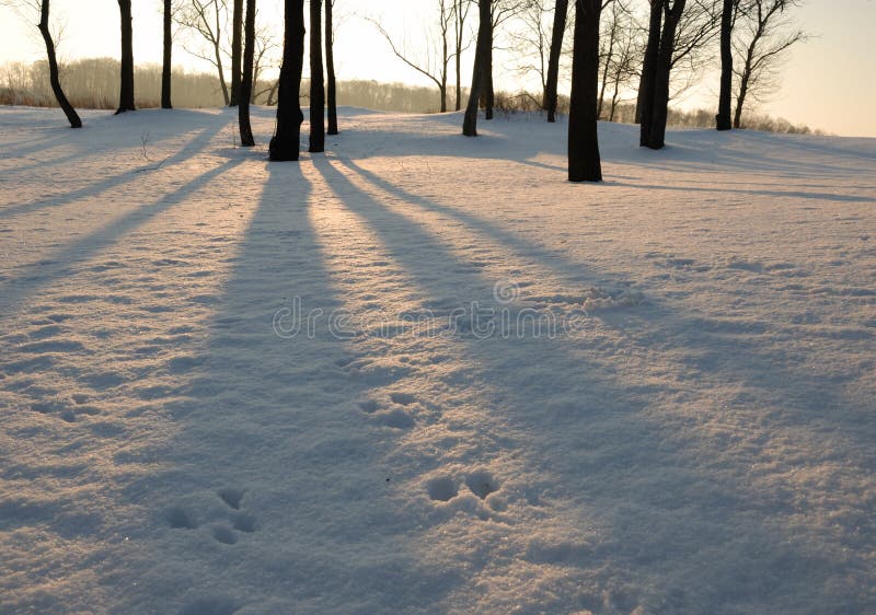 Christmas eve dawn stock image. Image of shadows, long - 3895647