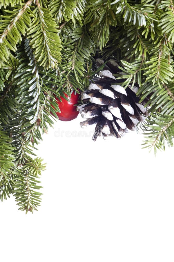 Christmas Evergreen Background Stock Photo - Image of seasonal, holiday ...