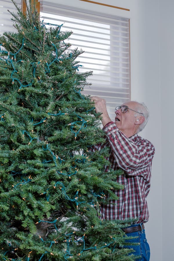 Christmas stock photo. Image of years, evergreen, decorated - 47850374
