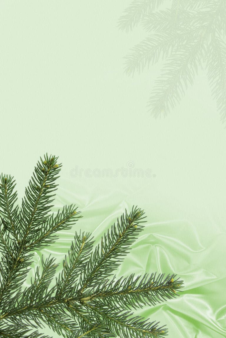 Fern Family Stock Illustrations – 1,584 Fern Family Stock Illustrations ...