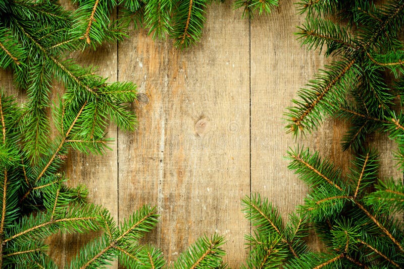 Christmas fir tree frame stock photo. Image of abstract - 27775106