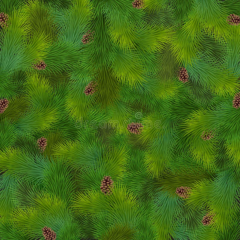 Pine Tree Texture Vector