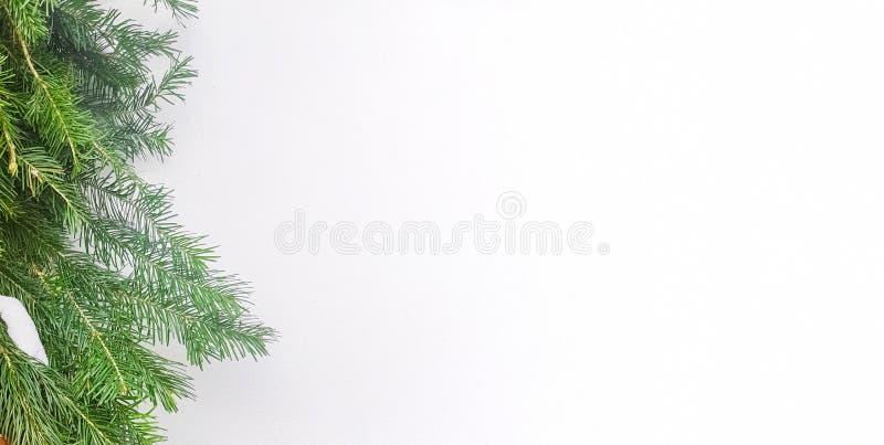 Christmas Frame with Christmas Tree Branches on a White Horizontal ...