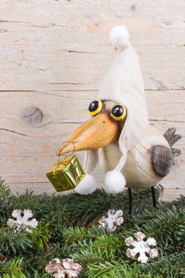 Christmas funny bird stock photo. Image of bird, gift - 80912330