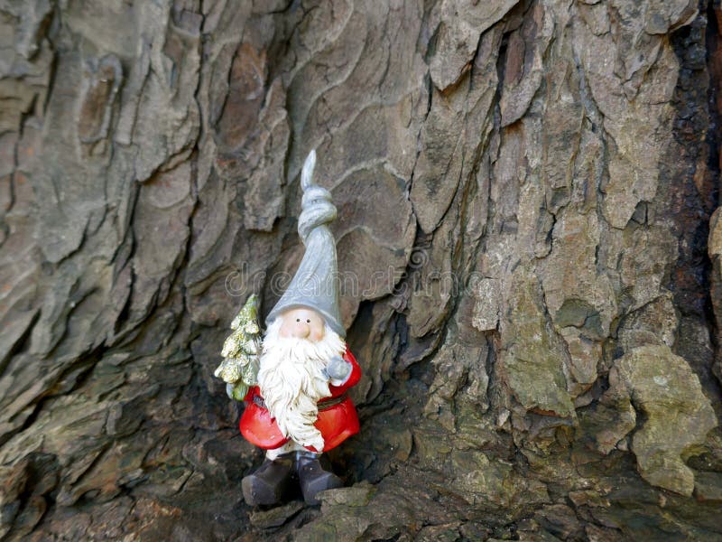 Christmas Garden Gnome in the Forest, in Front of an Old Tree Trunk ...