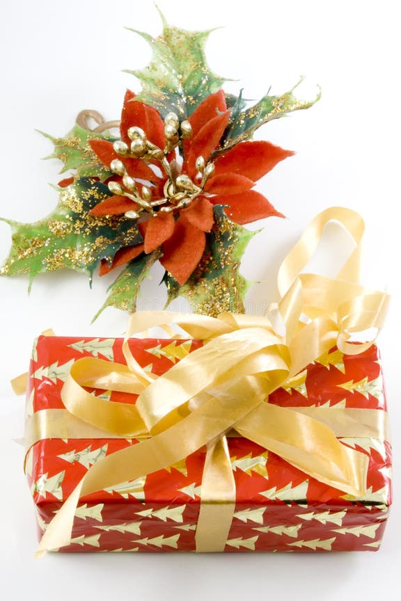 Christmas Gift Box and Mistletoe Stock Image - Image of mistletoe ...
