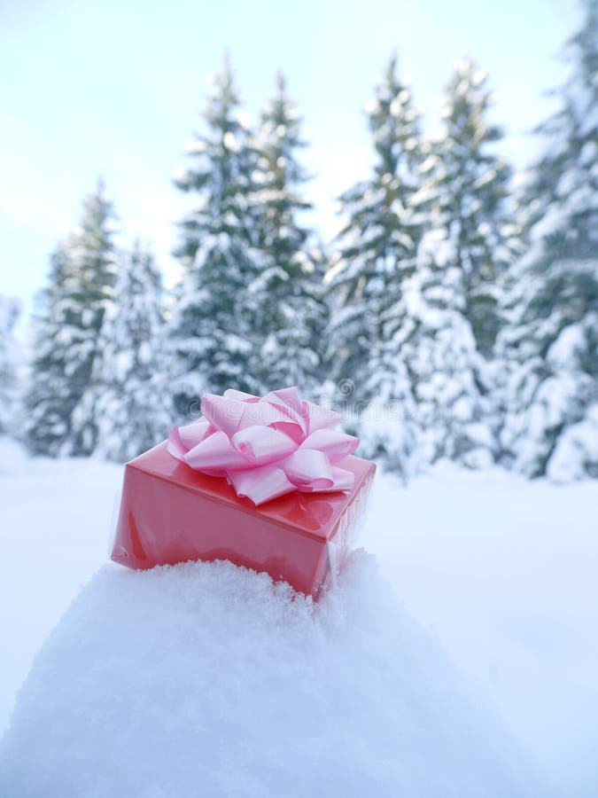 Christmas gift in the snow stock photo. Image of festive - 106816170