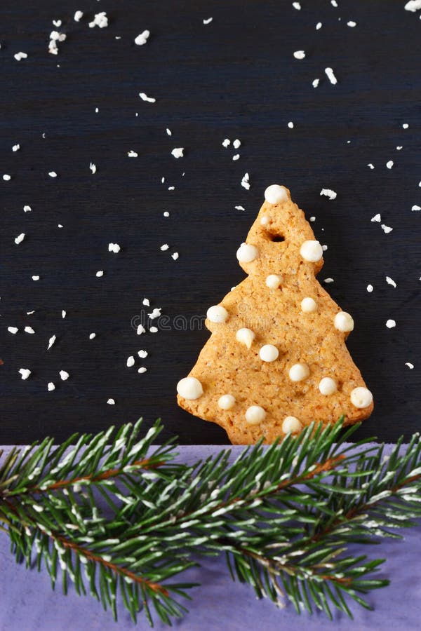 Christmas gingerbread. stock photo. Image of brown, holiday - 27411564