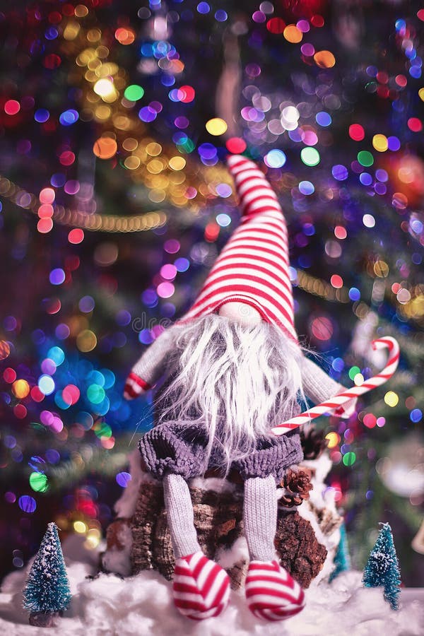Christmas Gnome Under Tree Decorated, Holiday Lights Background Stock ...