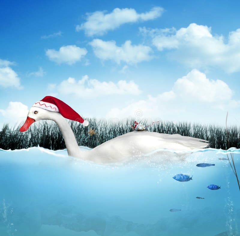 Christmas goose stock image. Image of concept, abstract - 27373535