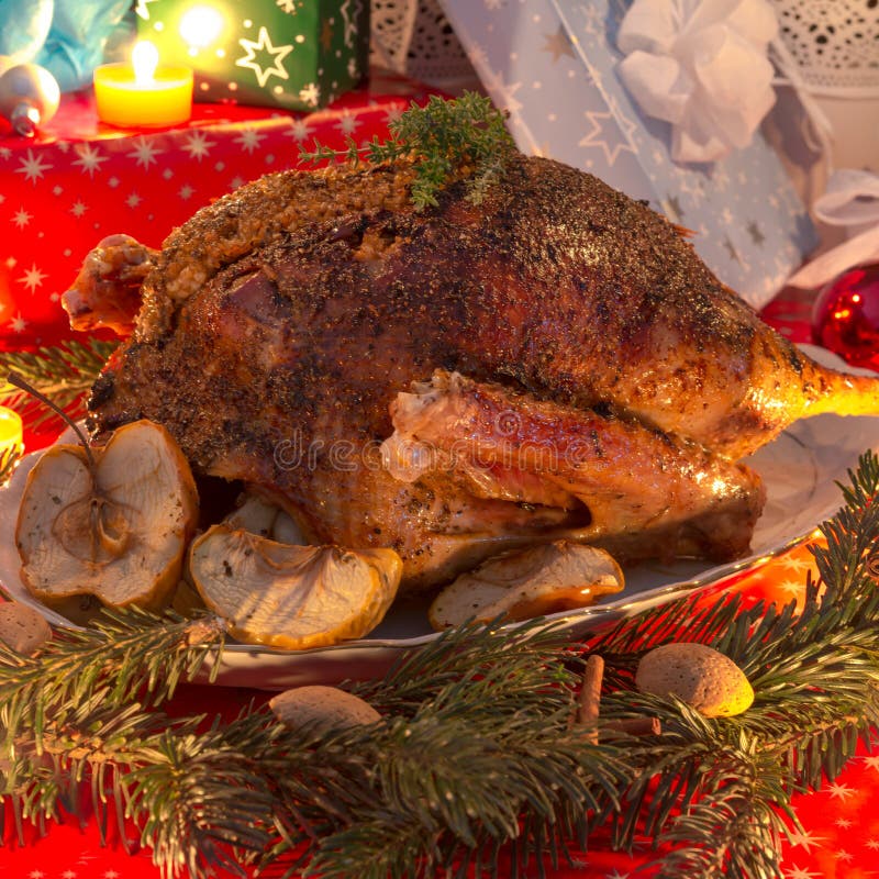 Christmas goose stock image. Image of dinner, apple, food - 35627811