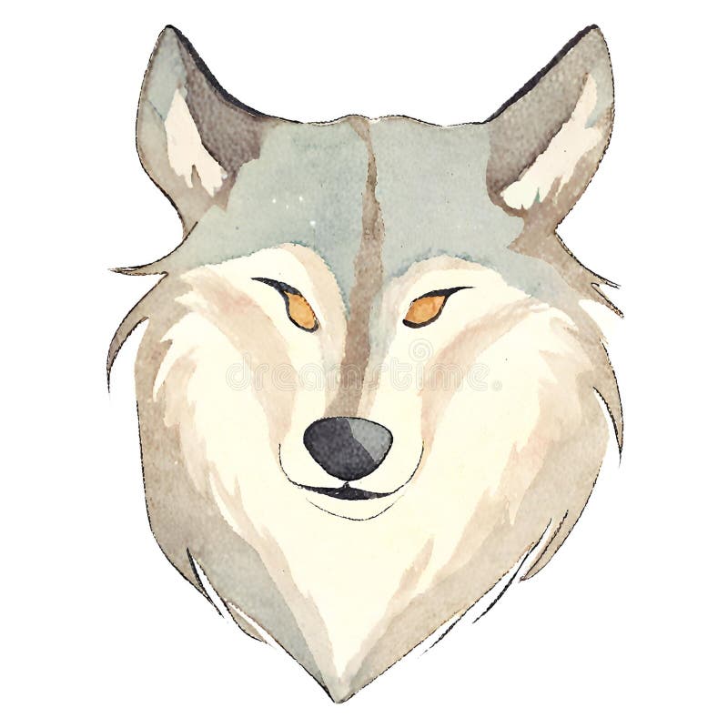 Watercolor Wild Wolf Face stock illustration. Illustration of isolated ...