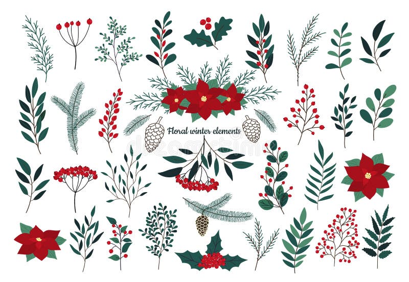 Christmas Hand Drawn Set Of Poinsettia Leaves Branches Holly