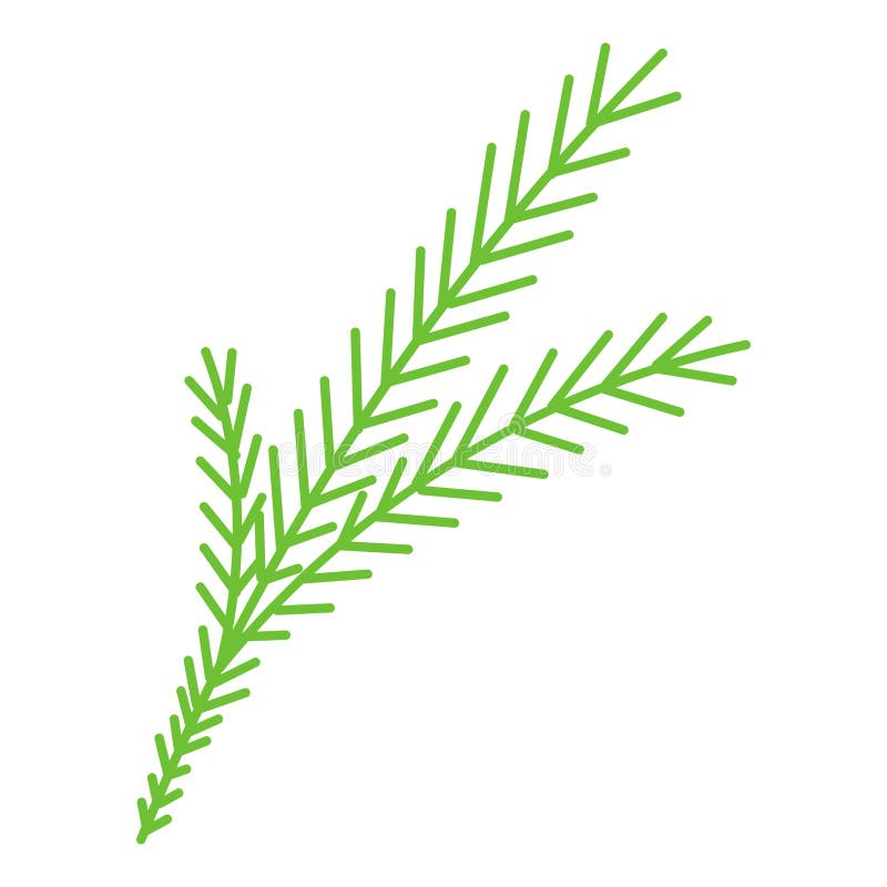 Christmas Holiday Tree Tree Branch Plant Needles Stock Vector ...