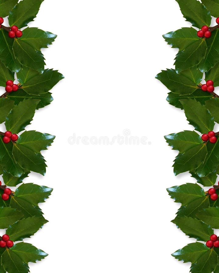 Christmas Holly Border Corner Design Stock Illustration - Illustration ...