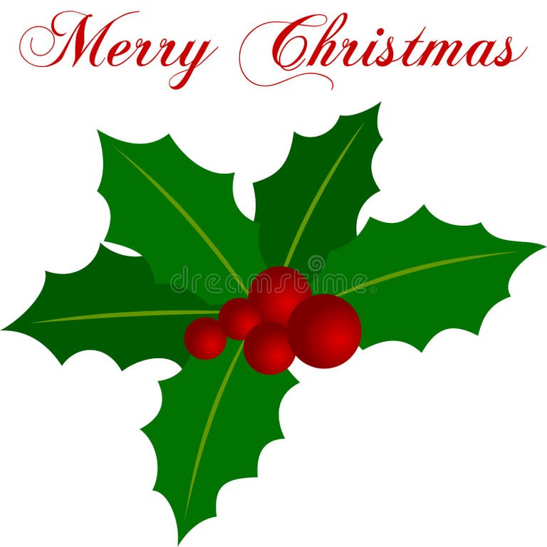 Christmas Holly Sprig Illustration Stock Illustrations – 3,290 ...