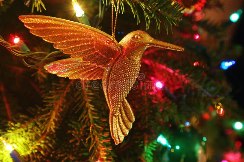 Christmas Hummingbird Decoration Stock Photo - Image of ornament ...