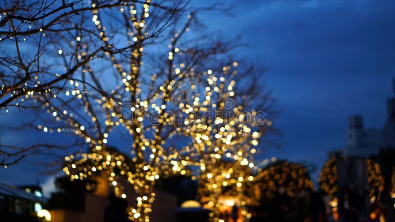 Christmas Illumination Tree Blur on Twilight Blue Sky, Holiday B Stock ...