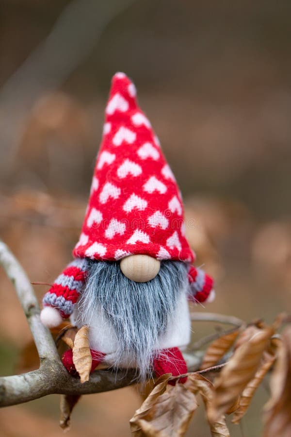 Christmas Imp in the Forest Stock Photo - Image of time, decorations ...