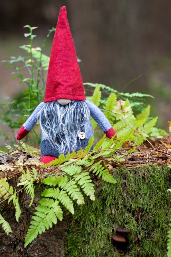 Christmas Imp in the Forest Stock Image - Image of seasonal, holiday ...