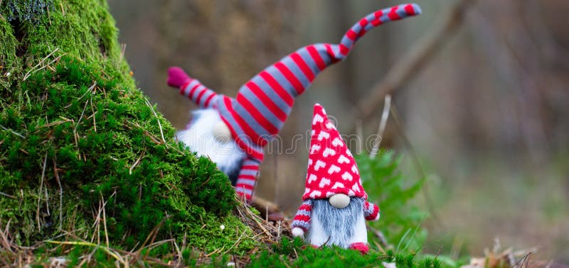 Christmas Imp in the Forest Stock Photo - Image of forest, merry: 173973902