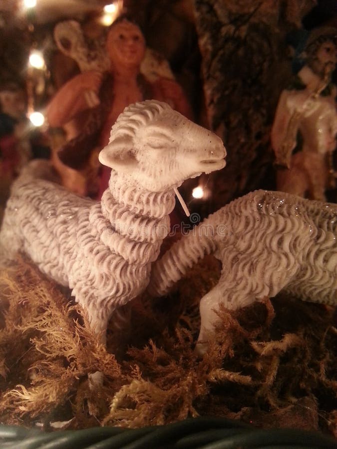 Christmas Lamb stock image. Image of nativity, holiday - 48331557