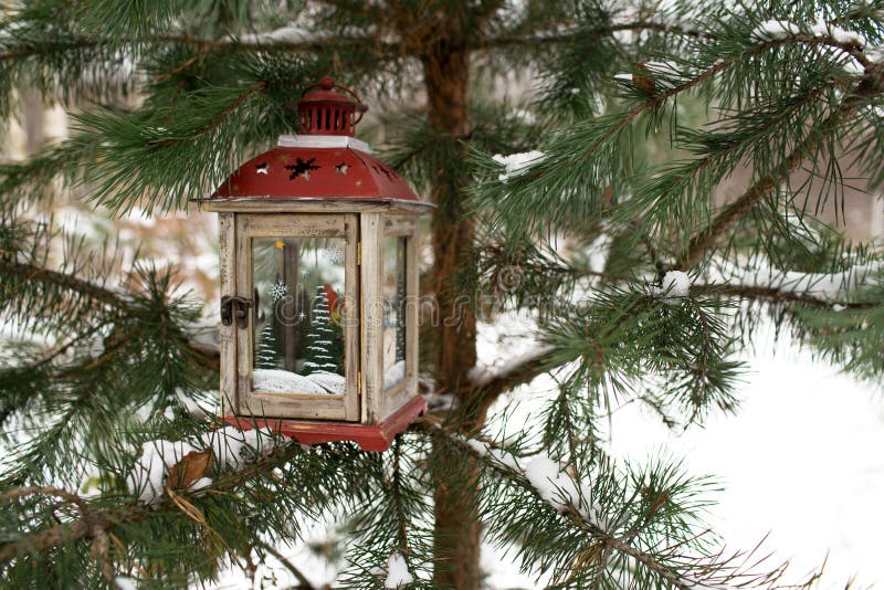 Christmas Lantern on a Christmas Tree Stock Image - Image of burning ...