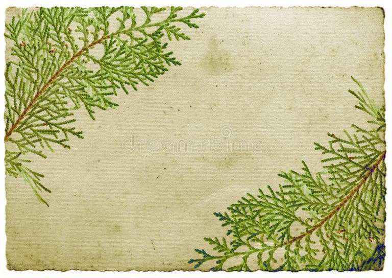 356 Christmas Rust Wallpaper Stock Photos - Free & Royalty-Free Stock ...