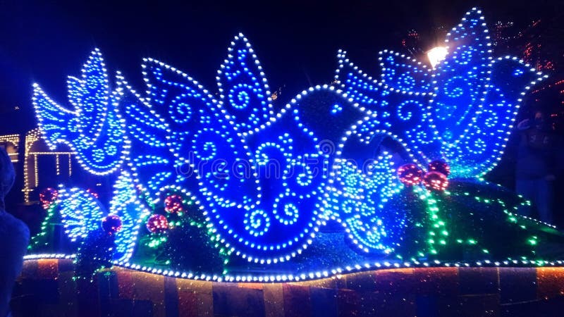 Christmas Light Display of Blue Birds Stock Photo - Image of twinkling ...