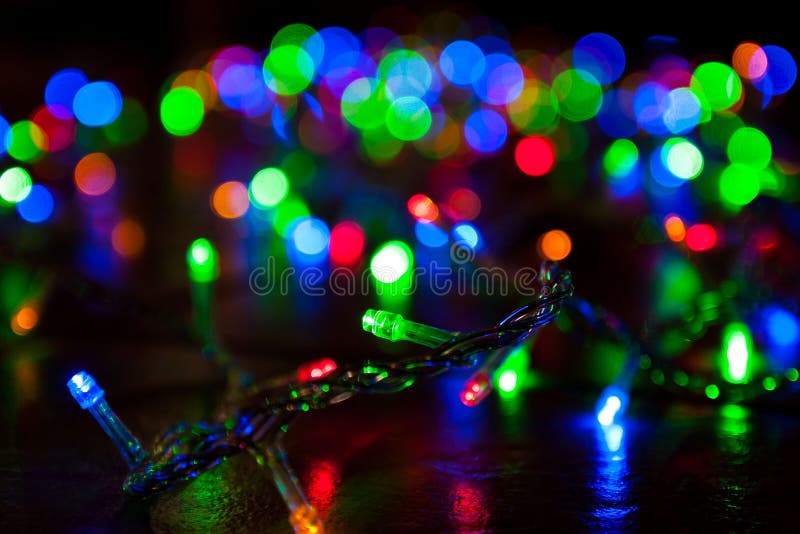 Plants in Garish Christmas Lighting Stock Photo - Image of flower ...