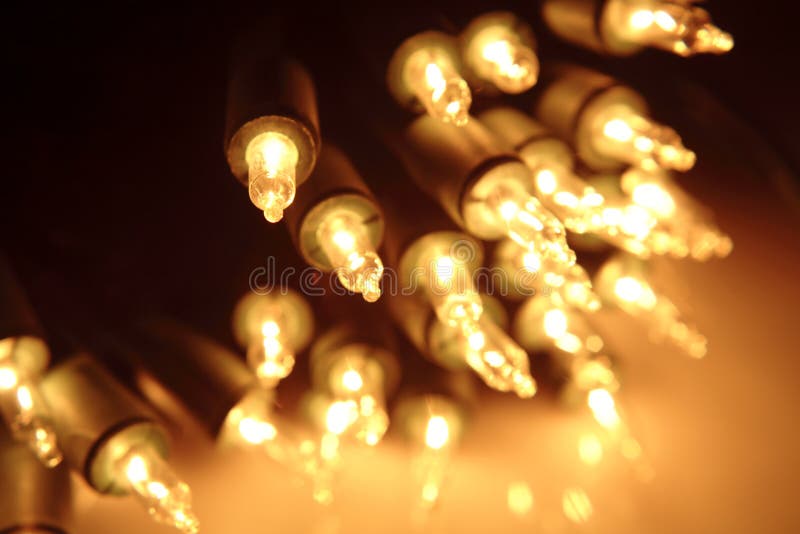 Plants in Garish Christmas Lighting Stock Photo - Image of flower ...