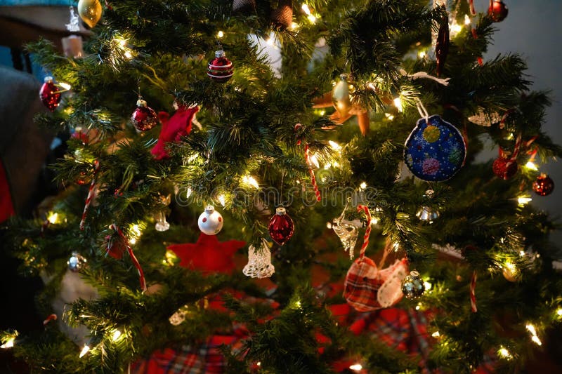 Christmas Lights Balls and Candy Cane on a Fern Stock Photo - Image of ...